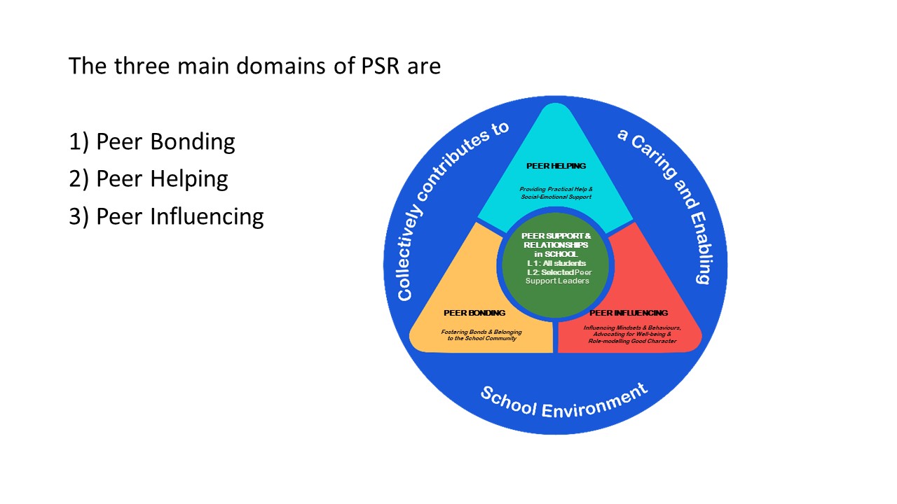 Peer Support Relationships @ WAPS